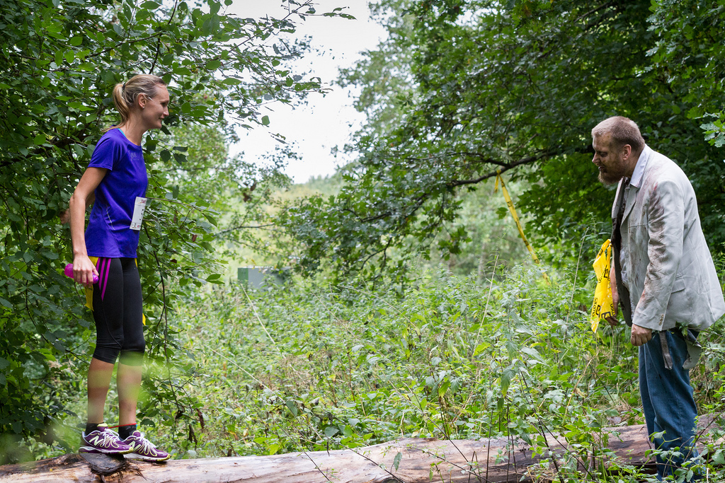 More Motivating: Game or Fiction? – Kim Werker