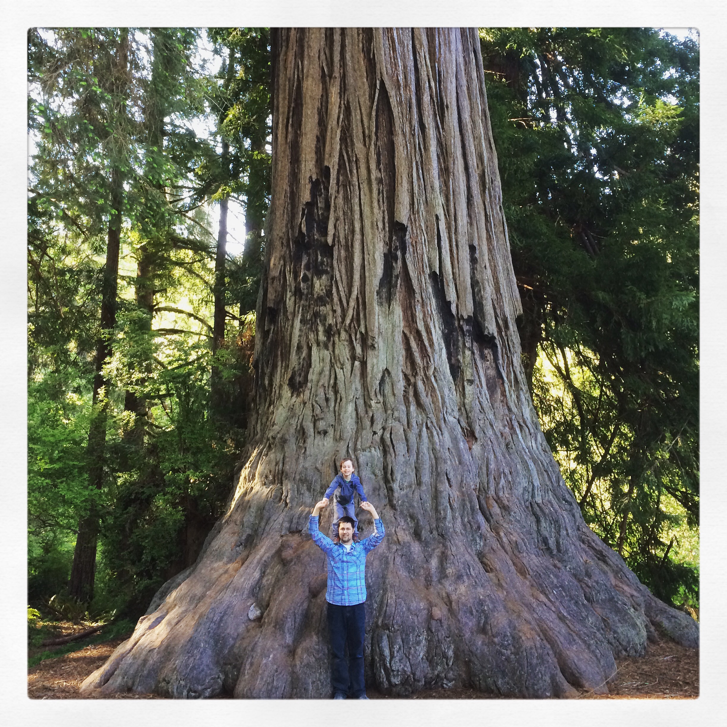 Werkers on the Road: Dispatch the First – Kim Werker